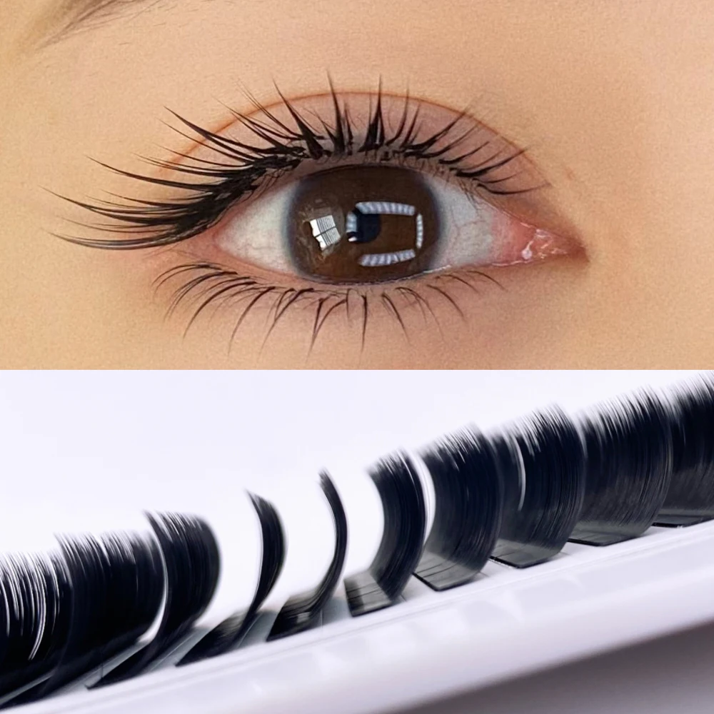 LB-LC-Curl-Camellia-False-Eyelashes-Faux-Mink-Soft-Easy-Fan-Individual-Lashes-Light-Classic ...