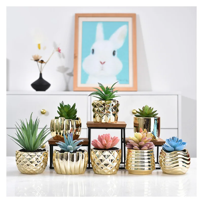 Golden succulent flower pot ceramic creative desktop flower pot flower ...