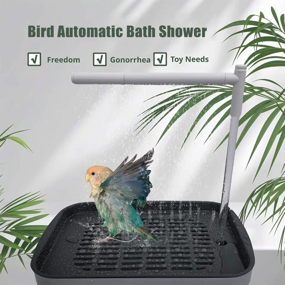 Pet Bird Bath Bird Bath Fountain Automatic Shower Time For Birds ...