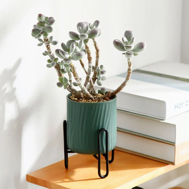 Minimalist-and-Creative-Iron-Art-Ceramic-Meaty-Flower-Pot-Plant-Potting ...