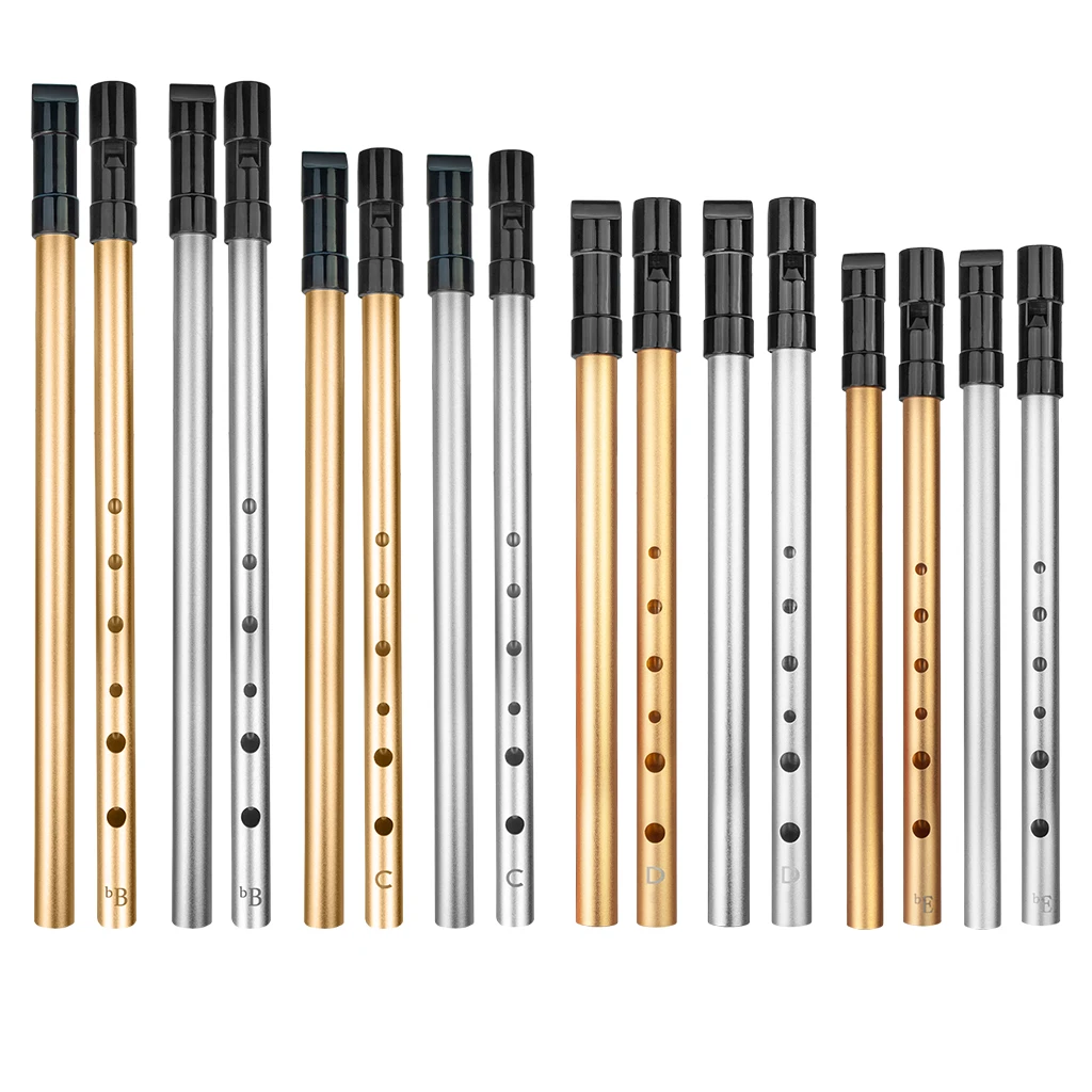 Flauta de Metal para Iniciantes: Apito Irlandês com 6 Furos e Material ...