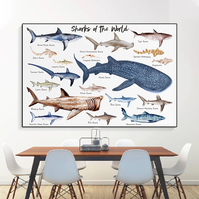 Sharks Of The World Poster