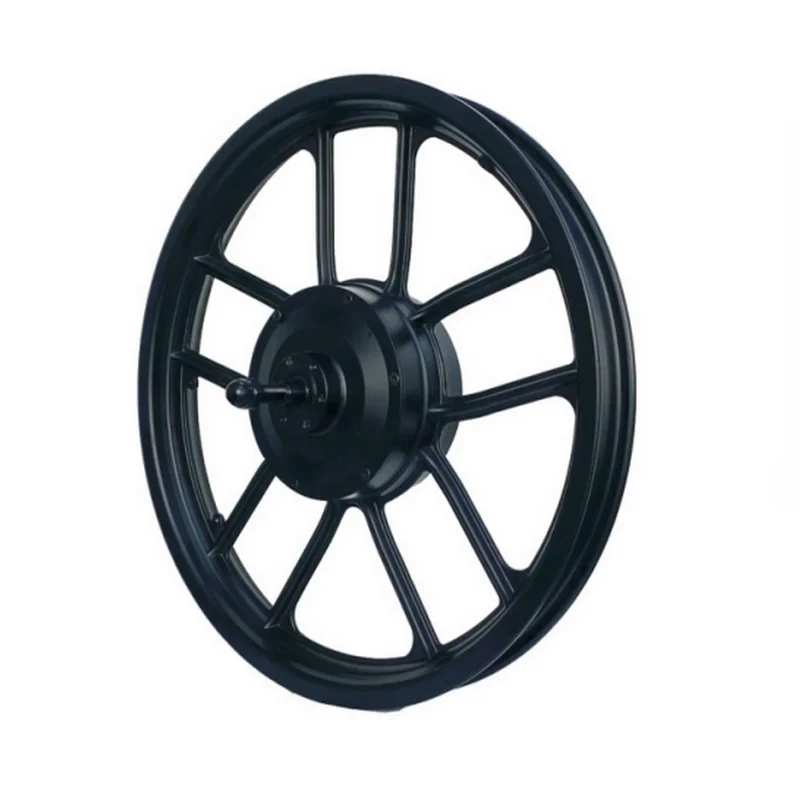 20 zoll Gesamte Motor 24V36V48V350W500W750W1000W MIT Magnesium ...