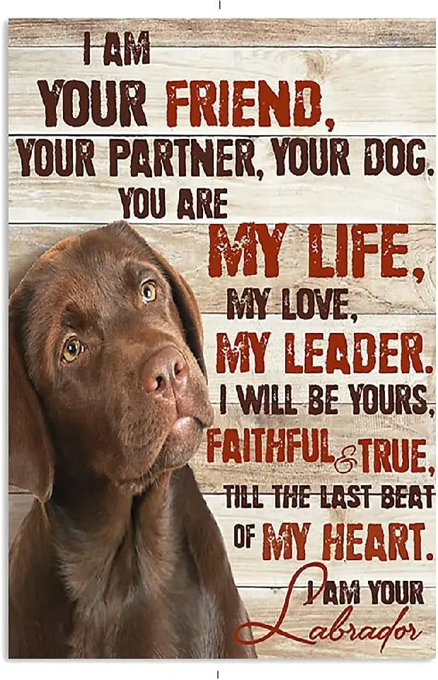 Metal-Tin-Sign-I-Am-Your-Friend-Your-Partner-Your-Dog-Chocolate ...