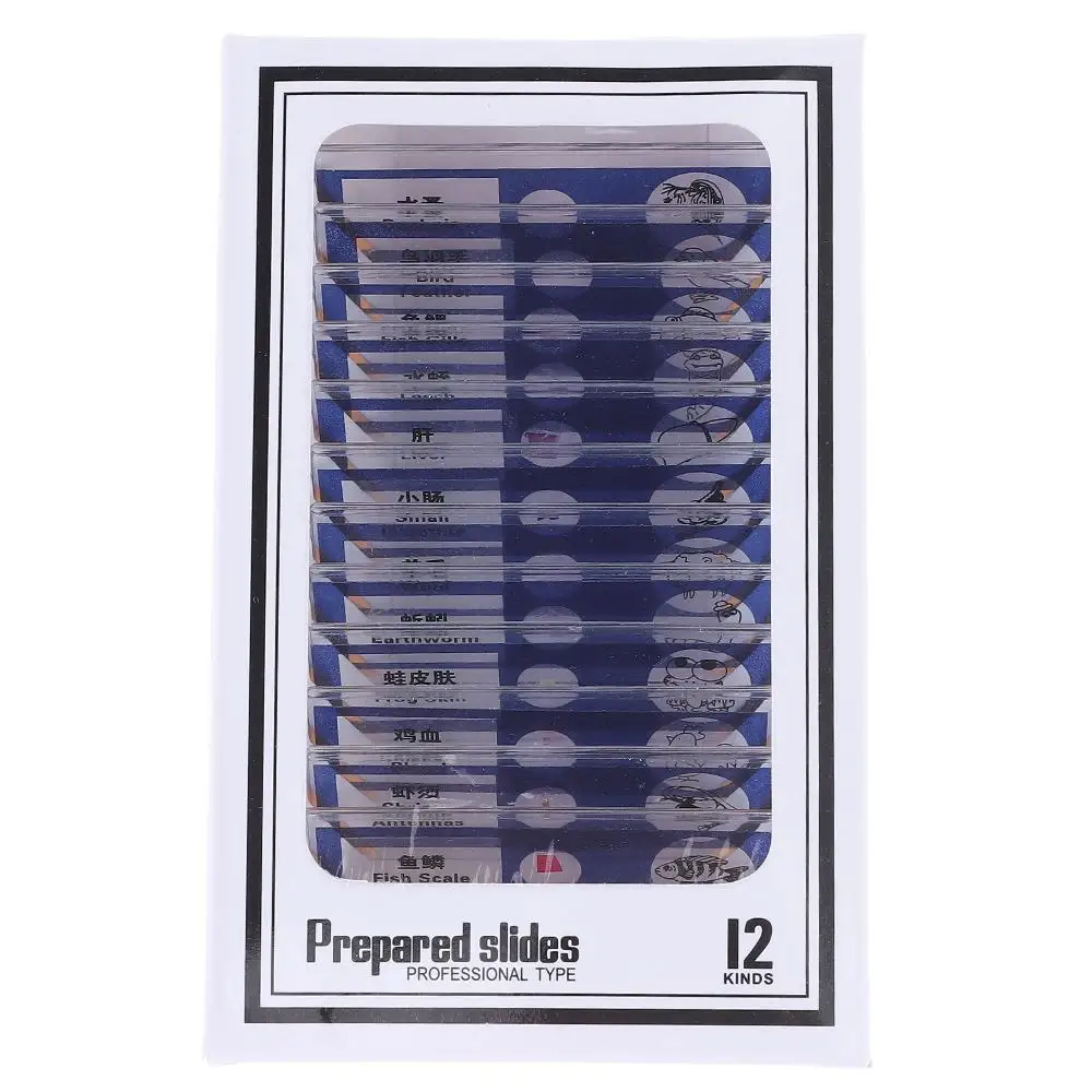 Prepared-Microscope-Slides-for-Kids-Plastic-Animals-Insects-Plants ...