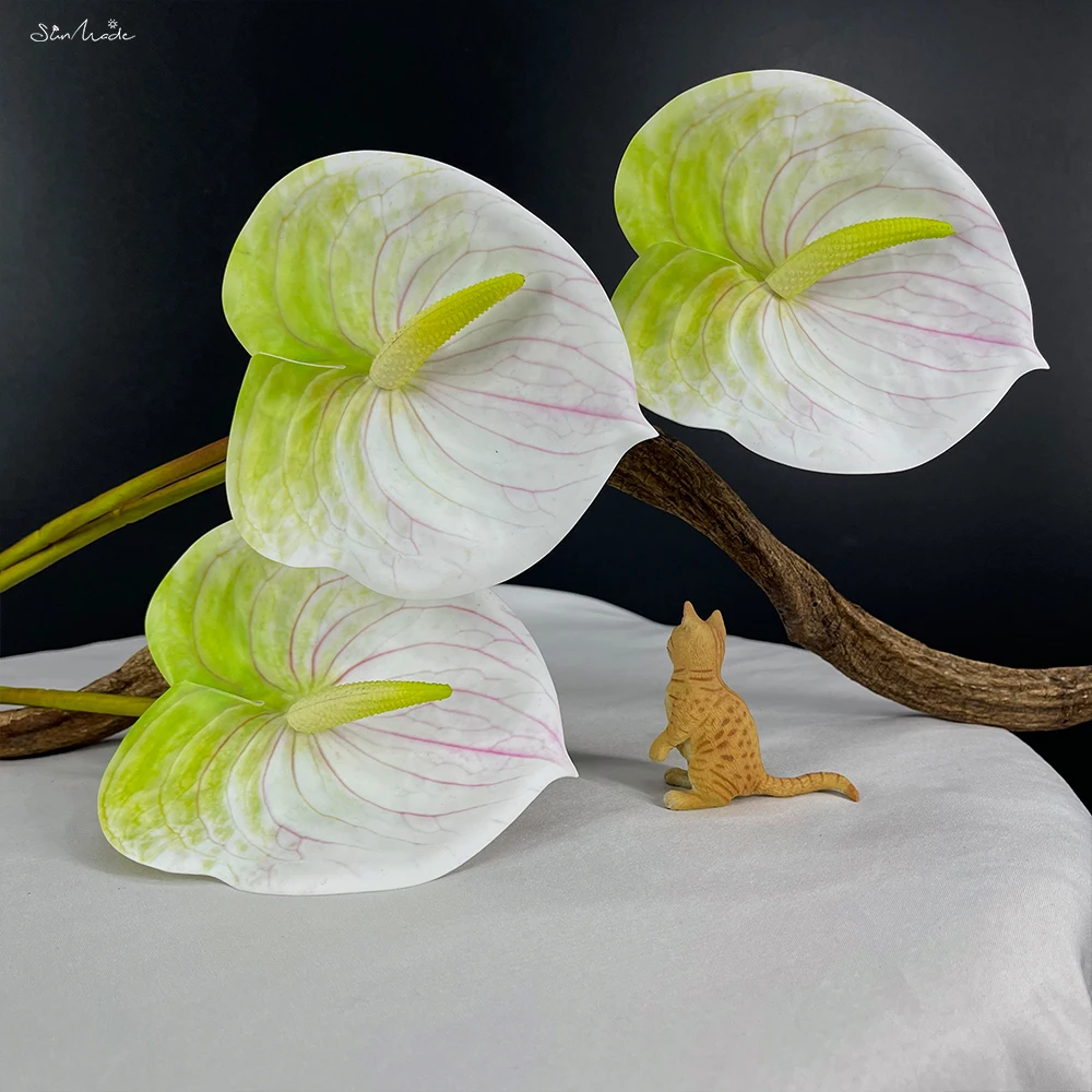 White Anthurium Flower