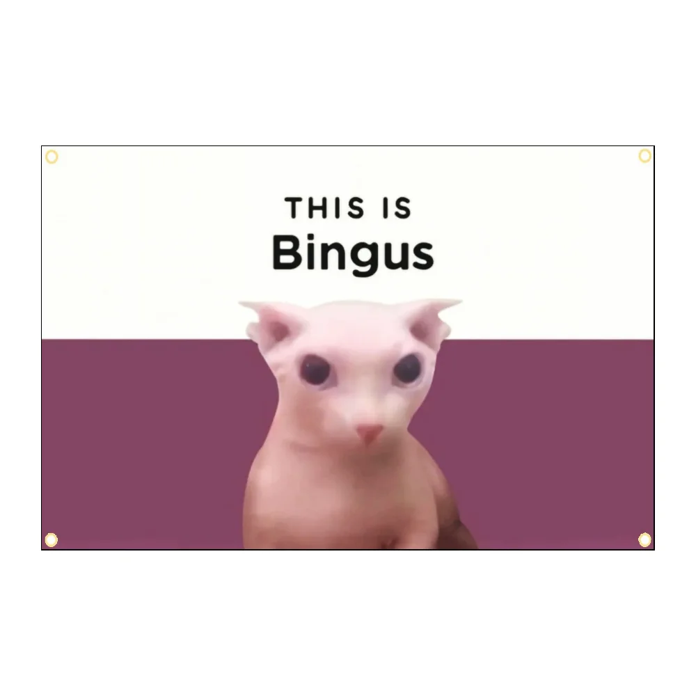 Wall-Flag-to-Hang-This-Is-Bingus-Home-Garden-Funny-Flags-and-Banners ...