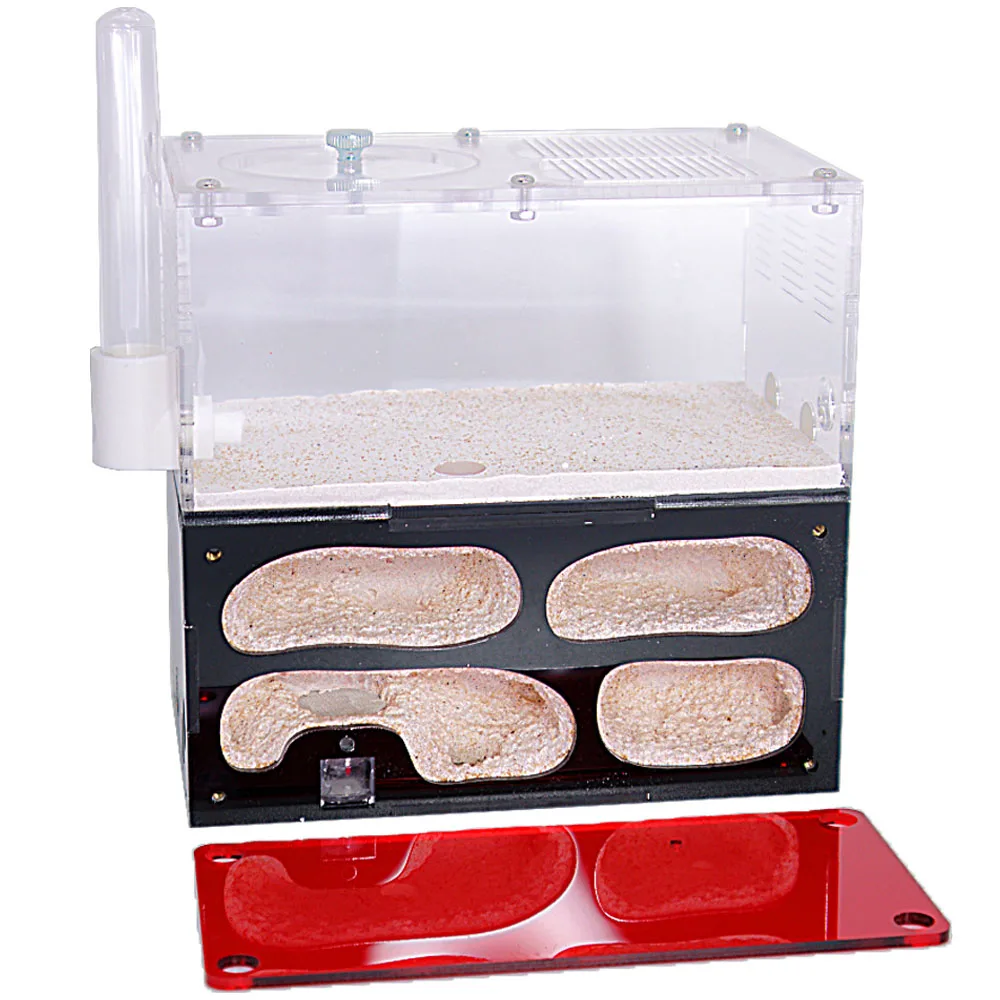 Acrylic Temperature Control | Anthill Farm Ants Acrylic | Ant Farm ...