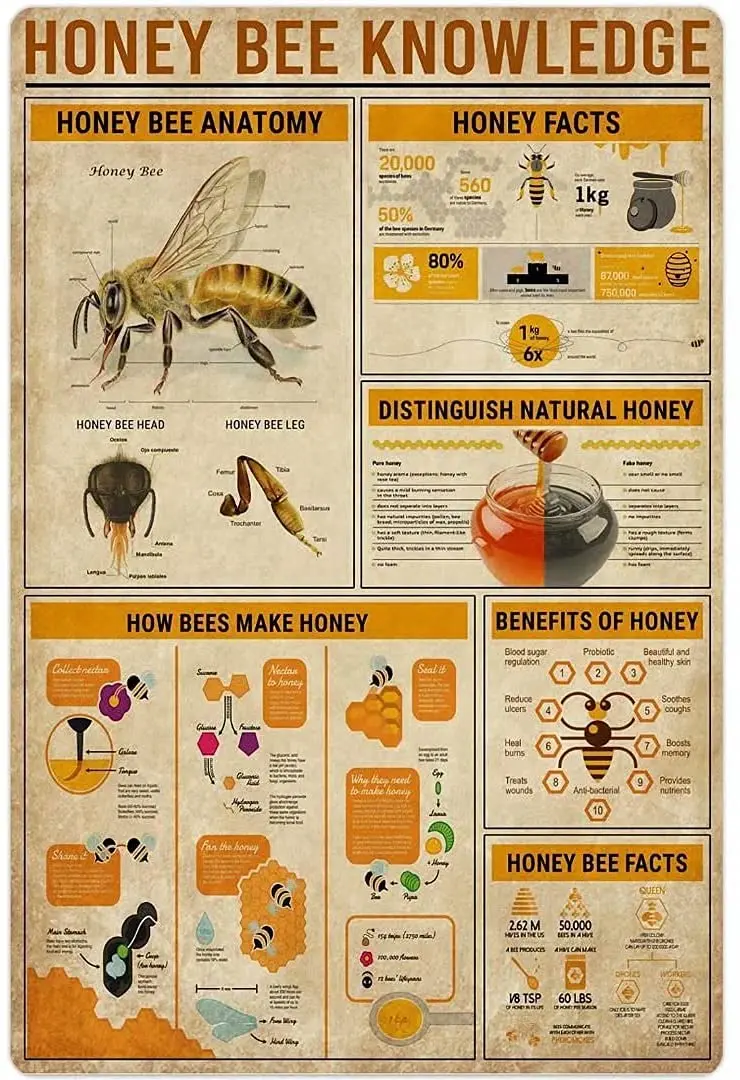 Honey-Bee-Knowledge-Metal-Tin-Sign-Anatomy-How-Bees-Make-Honey-Retro ...