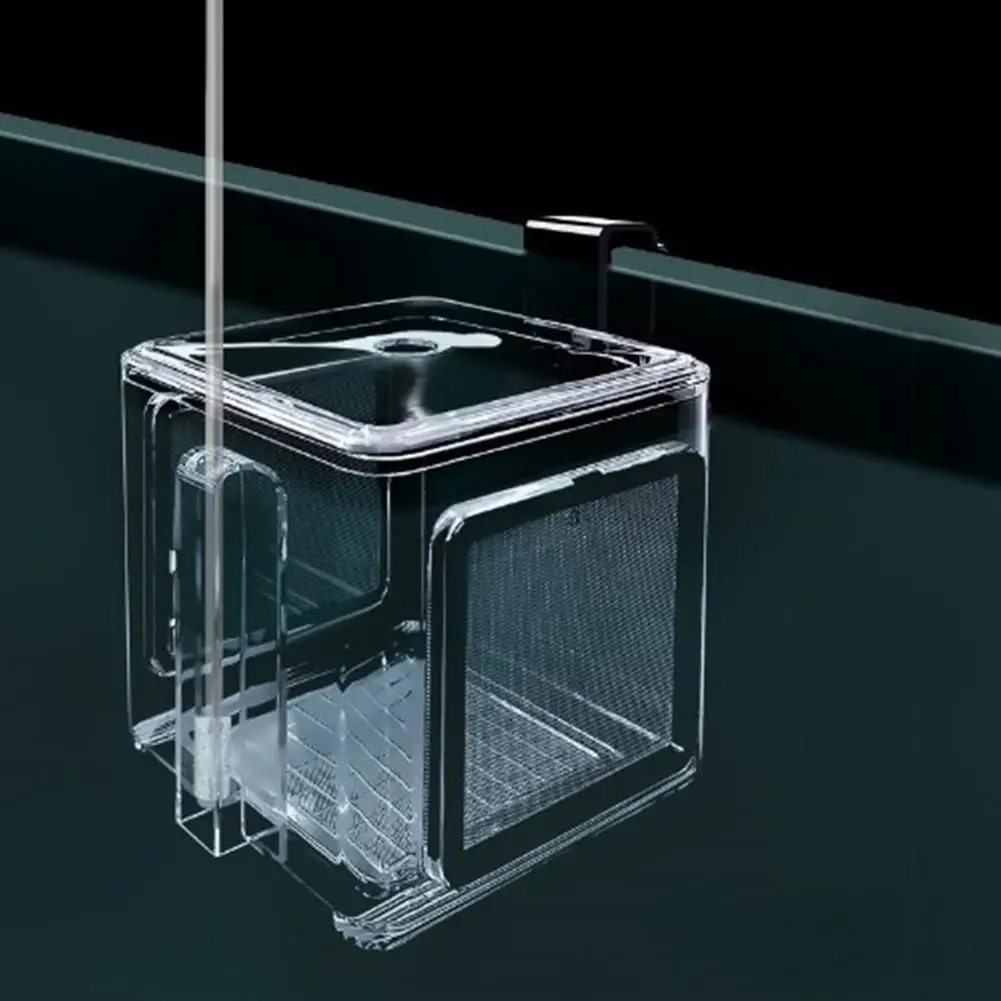 Fish-Tank-Breeding-Isolation-Box-With-Detachable-Mesh-Transparent ...