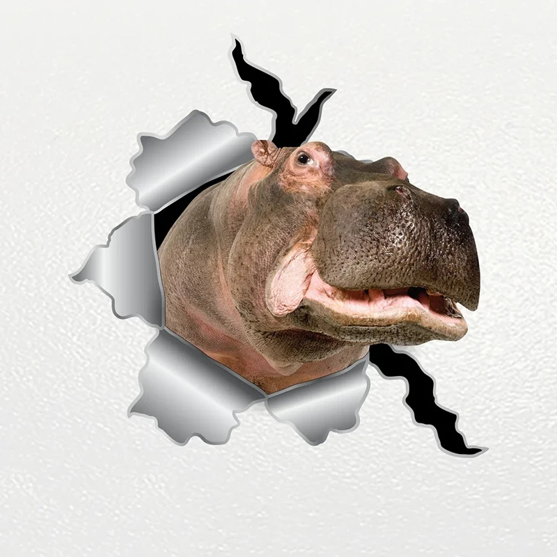 V1089-Car-Sticker-Hippo-Animal-Waterproof-Vinyl-Decal-Car-Accessories ...