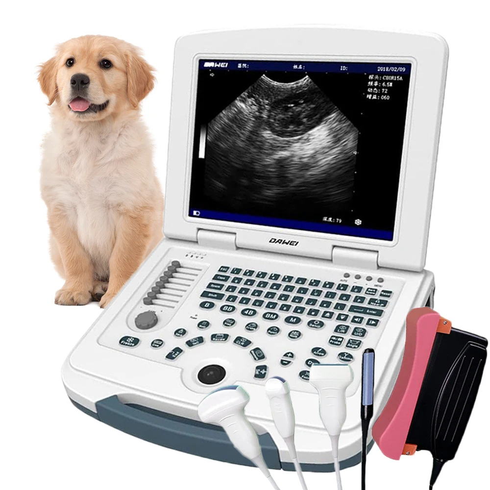 Veterinary-Ultrasound-Machine-Portable-Laptop-Pregnancy-Scanner-Probes ...