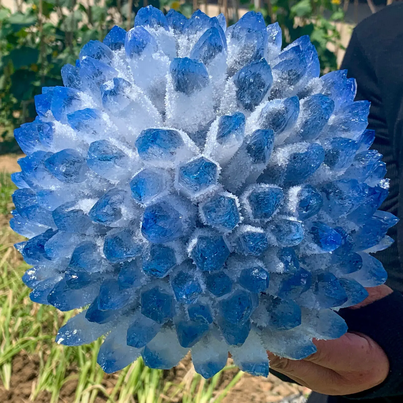 Beautiful-Blue-Phantom-Quartz-Crystal-Cluster-Specimen-Cured-healing.jpg