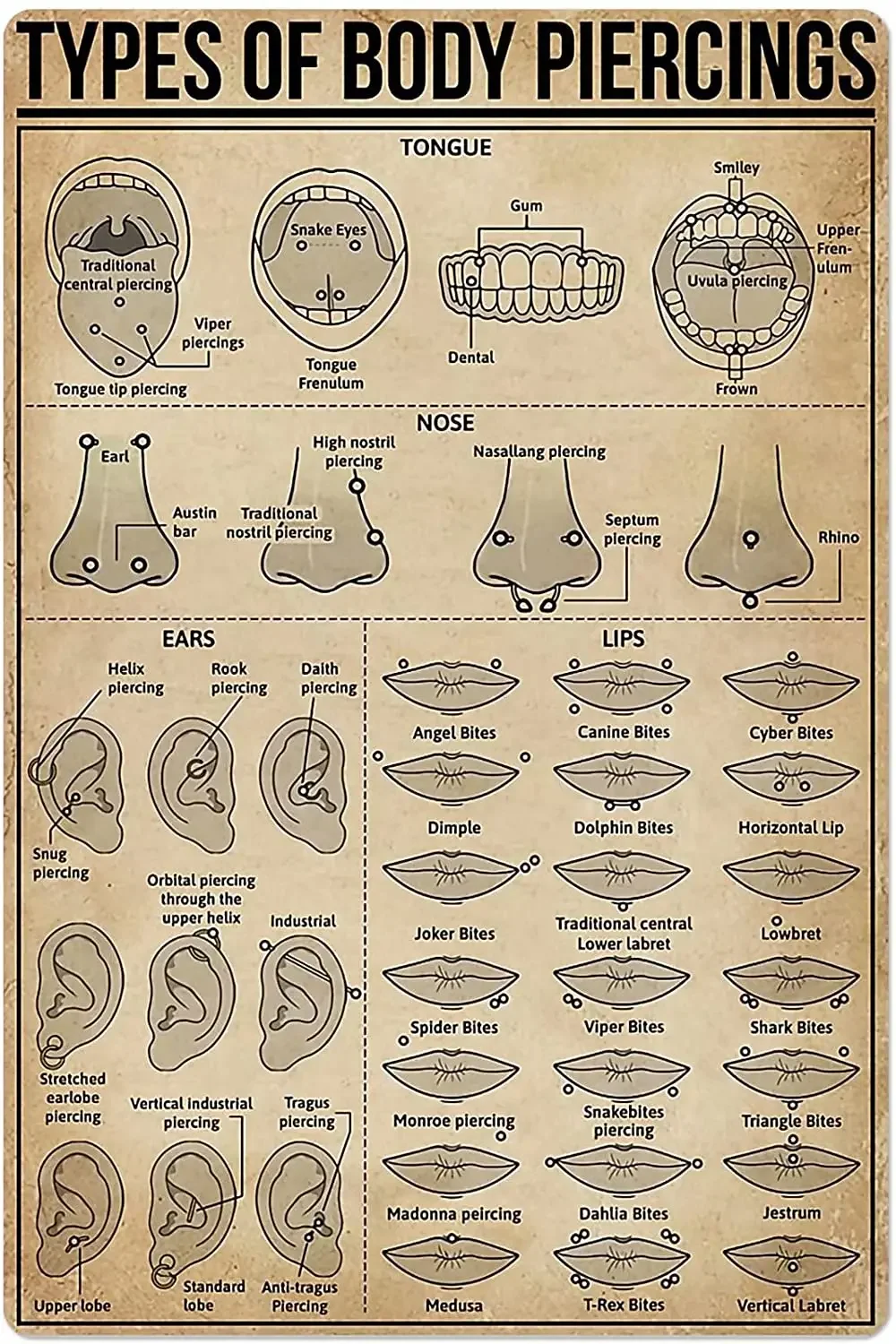 Dragon A Castle Store