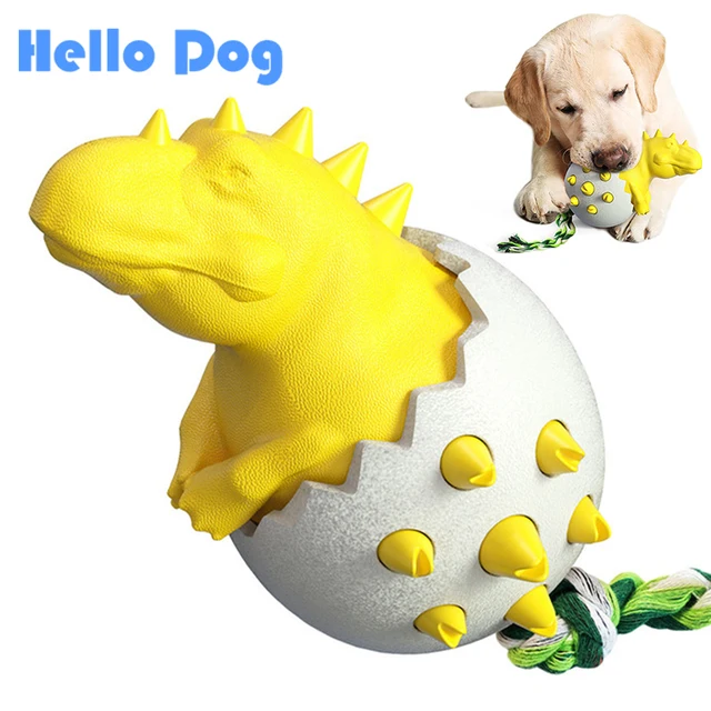 Dinosaur Egg Toy | That's So Fetch!