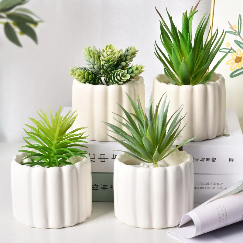 Ceramic Small Flowerpot Cream Colored Succulent Plant Pot Desktop Green ...