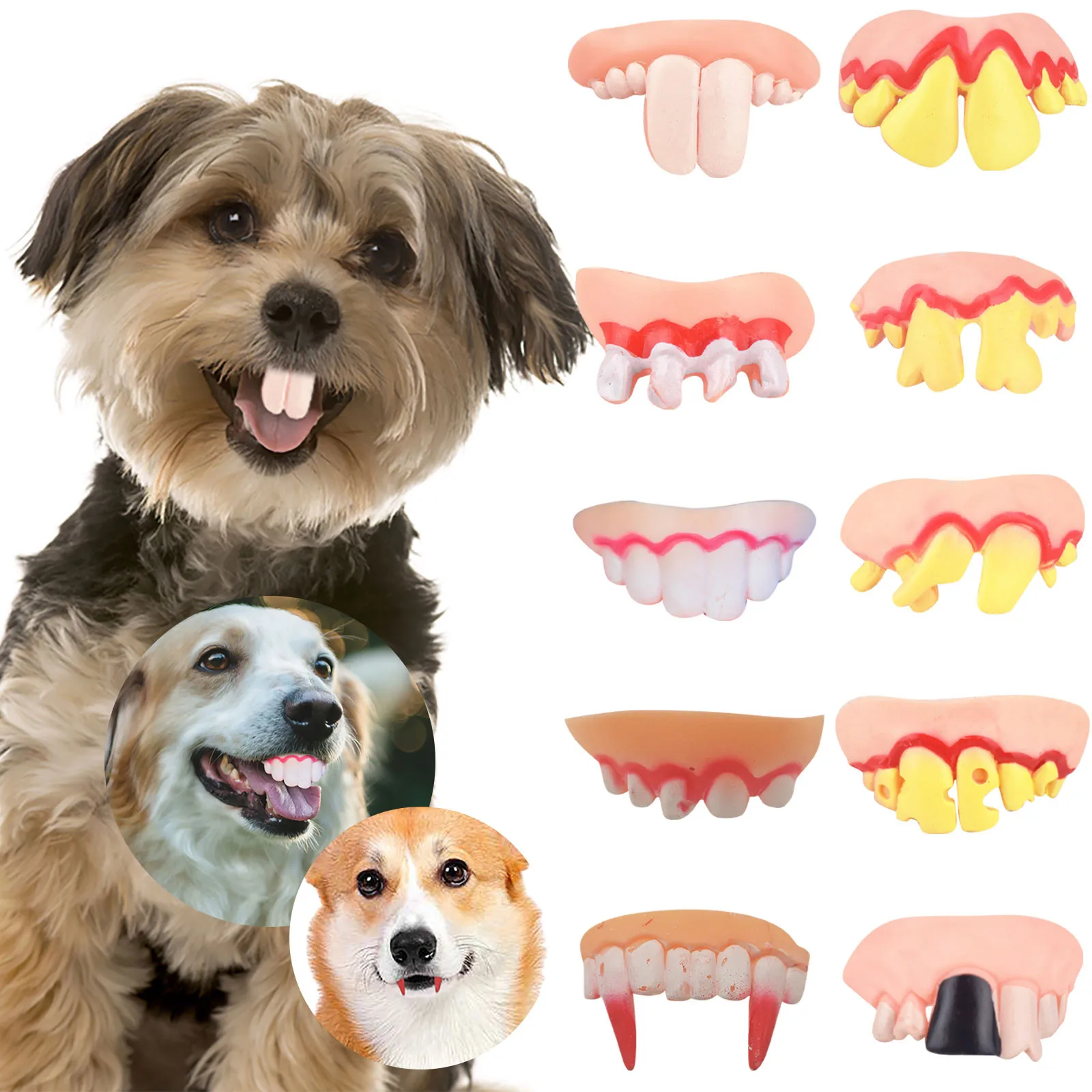 Existen Las Dentaduras Postizas Para Perros