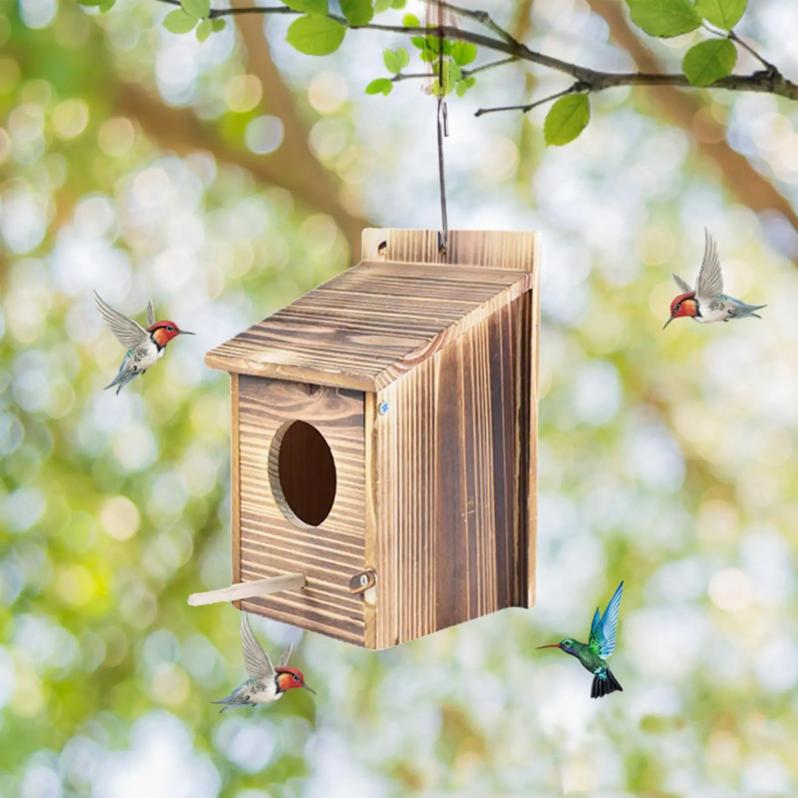 Sparrow Nest Box