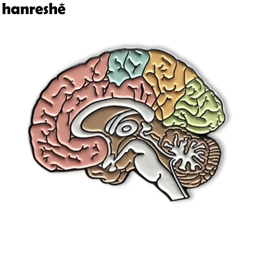 Hanreshe-Newest-Anatomy-Medical-Brain-Brooch-Delicate-Colorful-Enamel ...