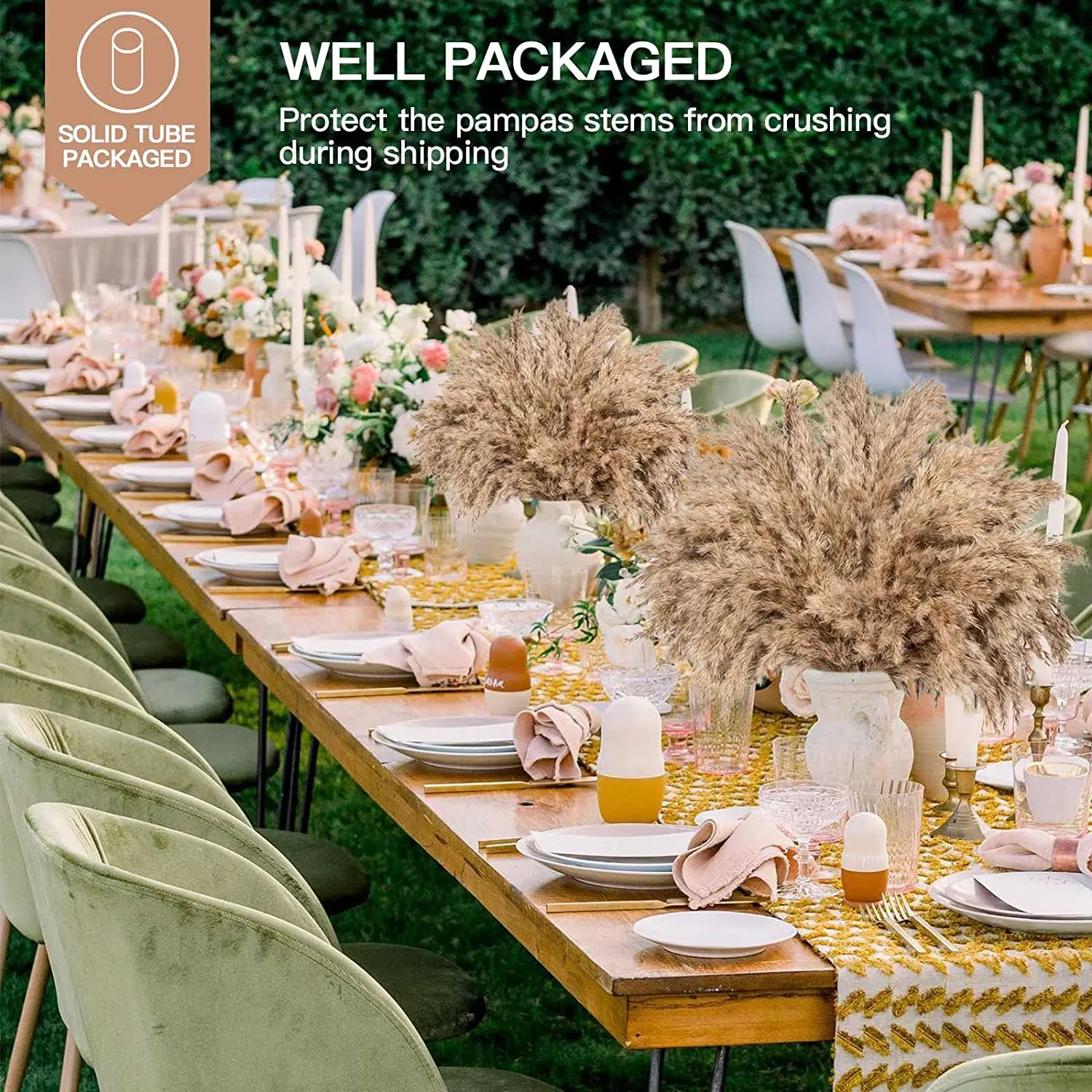 FLEUR SECHEE,ABC primary-30pcs--Bouquet de roseaux séchés naturels ...