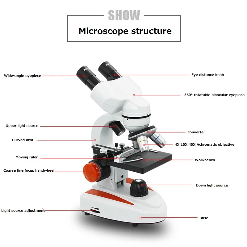 Binocular Microscope Diagram