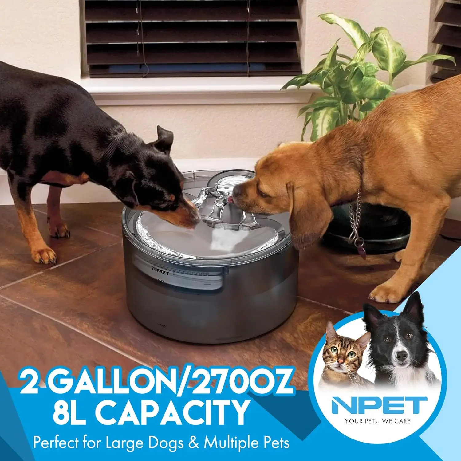 NPET DF30 Dog Water Fountain, 2 Gallon/270oz/8L Large Automatic Dog ...