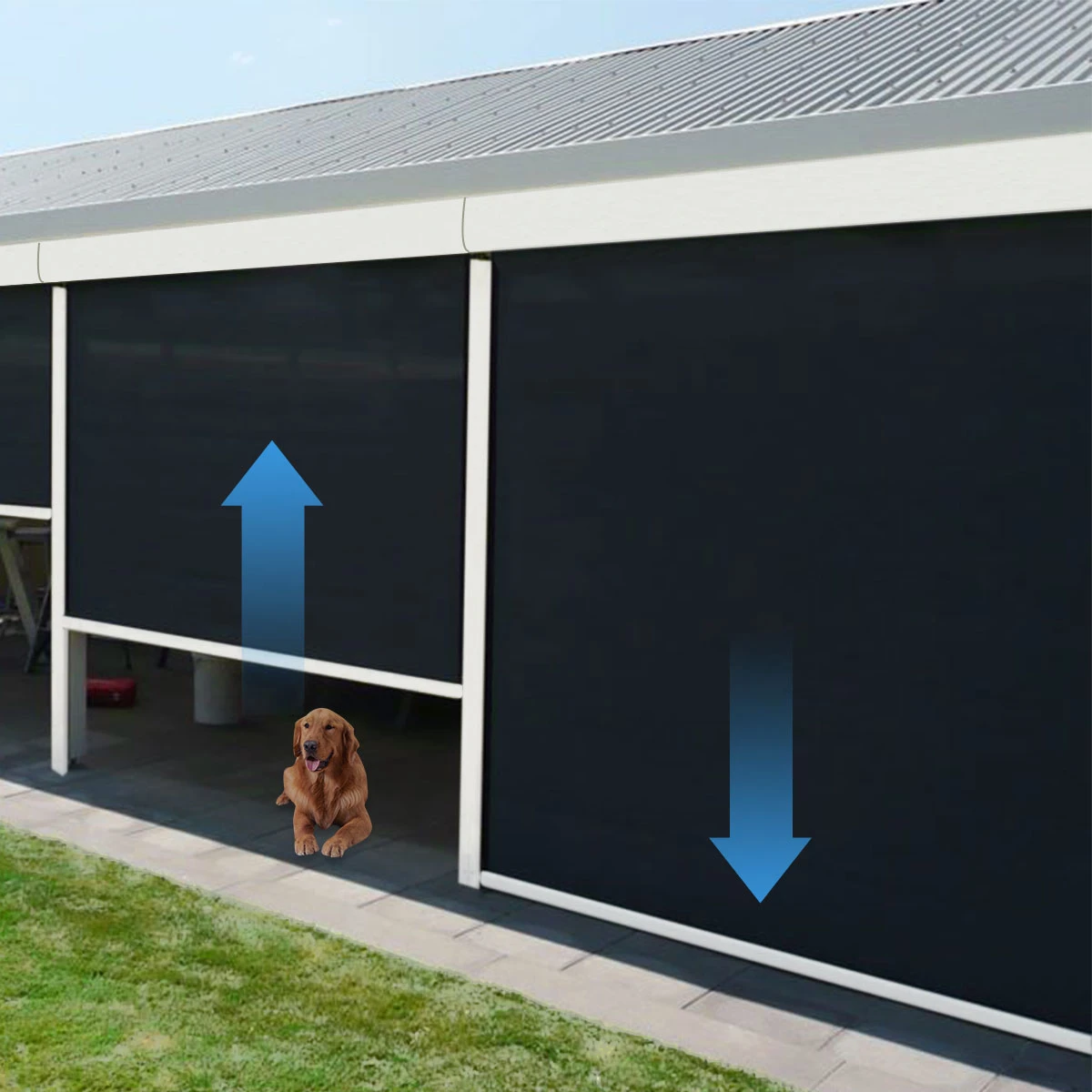 Bolaien Outdoor Window Blinds Ziptrack Roller Shade for Pergola Spring ...