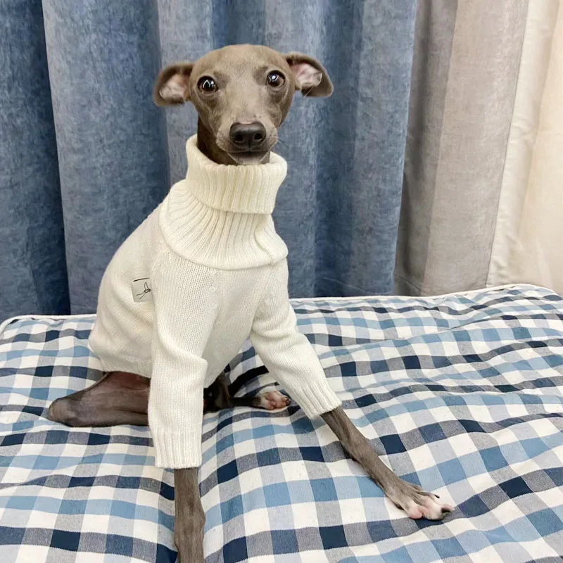Su-ter-de-cuello-alto-de-Galgo-Italiano-su-ter-de-punto-blanco-ropa-c ...