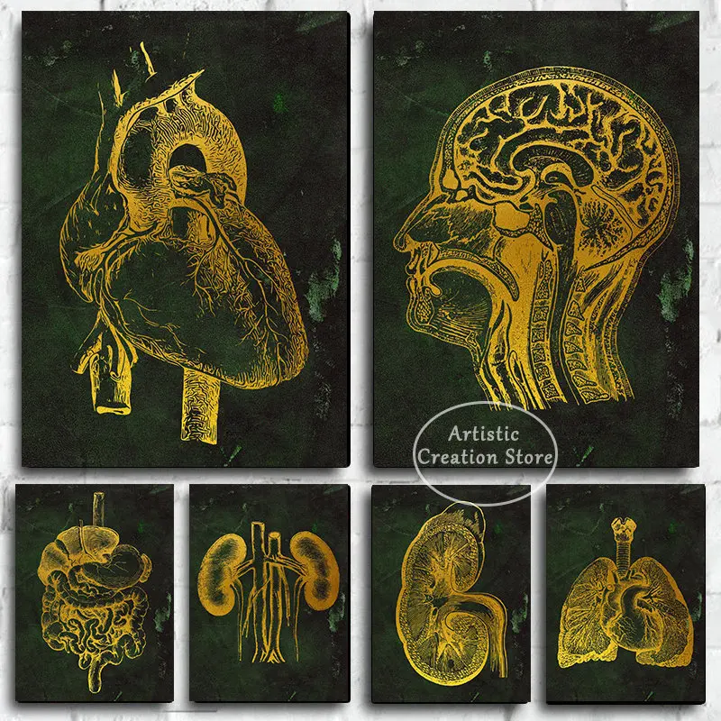 Abstract-Gold-Human-Body-Anatomy-Teeth-Color-Poster-Art-Canvas-Painting ...