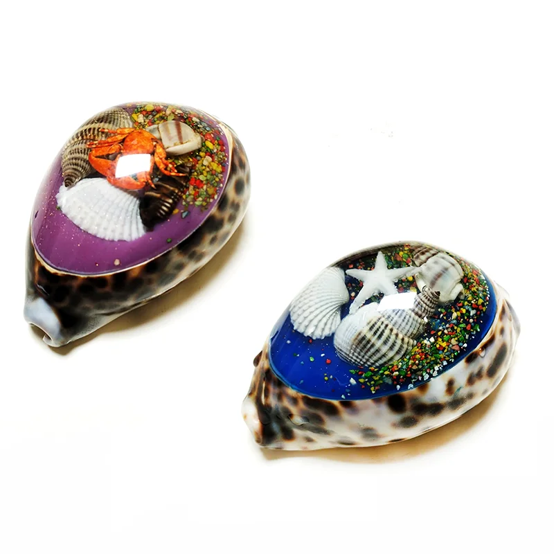 Cowrie Shell Magic: How I Used These Amber-Shelled Treasures to ...