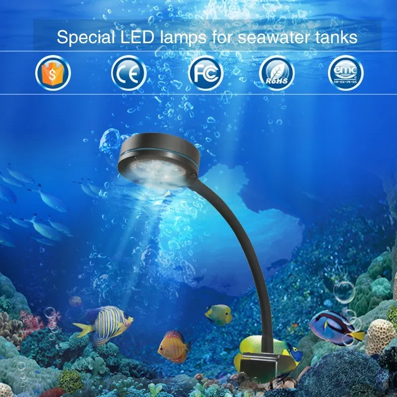 S3bf187cb705443e581ee9d7209797c65a.jpg