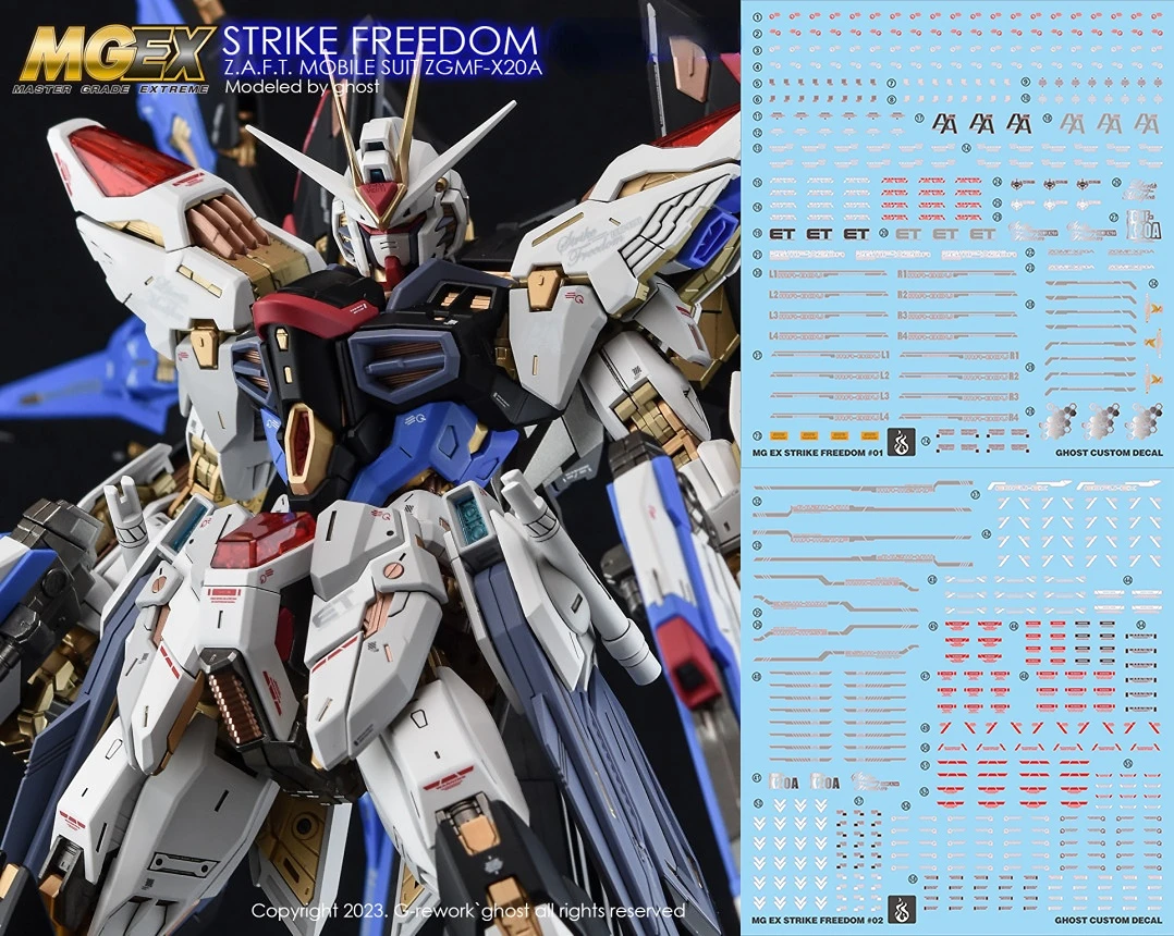 Strike Freedom Gundam Custom