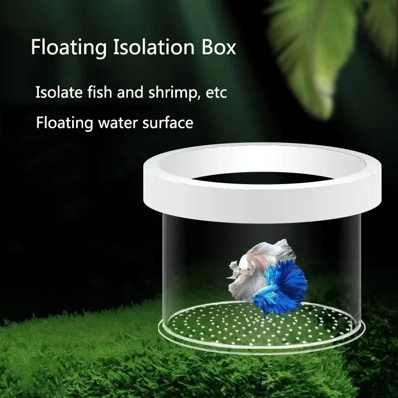 Acrylic-Floating-Fish-Breeding-Isolation-Box-Aquarium-Breeder-Feeder ...