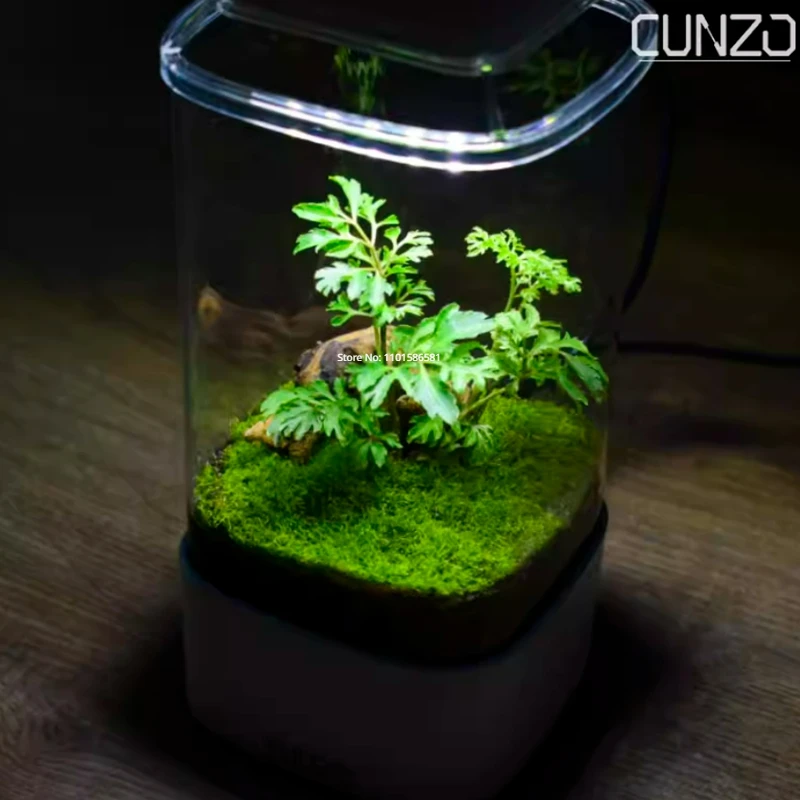 Mini-Desktop-Bonsai-for-Desktop-Succulent-Half-aquatic-Plants-with ...