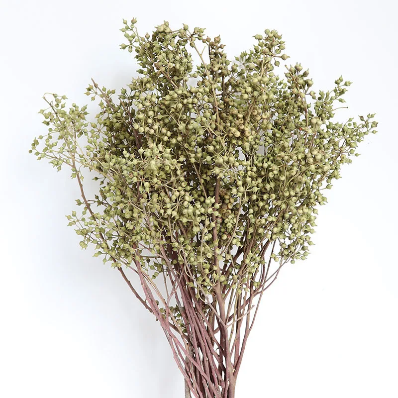 dried-Millet-fruit-natural-dry-flower-real-flower-small-green-fruit ...