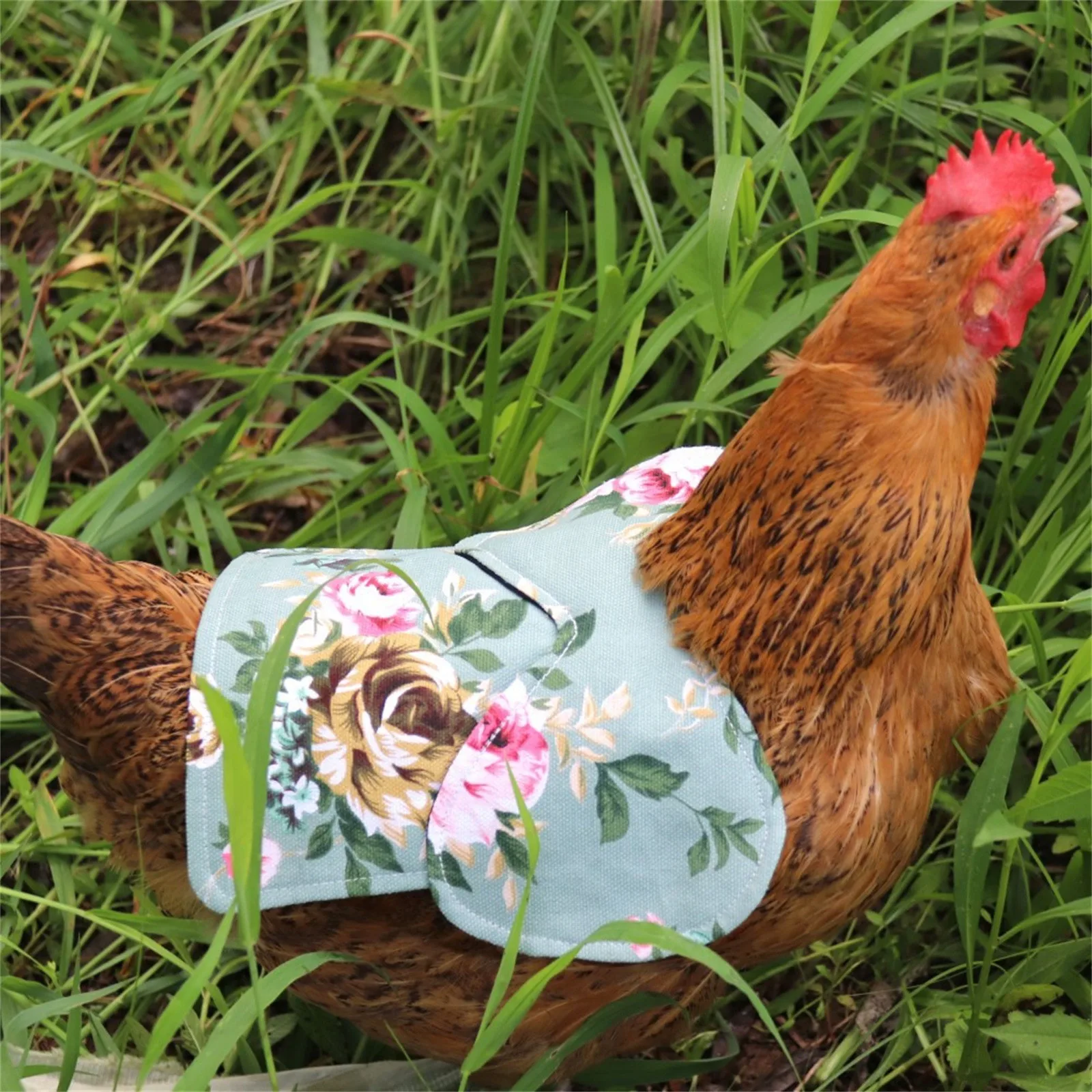 Adjustable-Pet-Clothes-Hen-Apron-Poultry-Hen-Saddle-Apron-Feather ...
