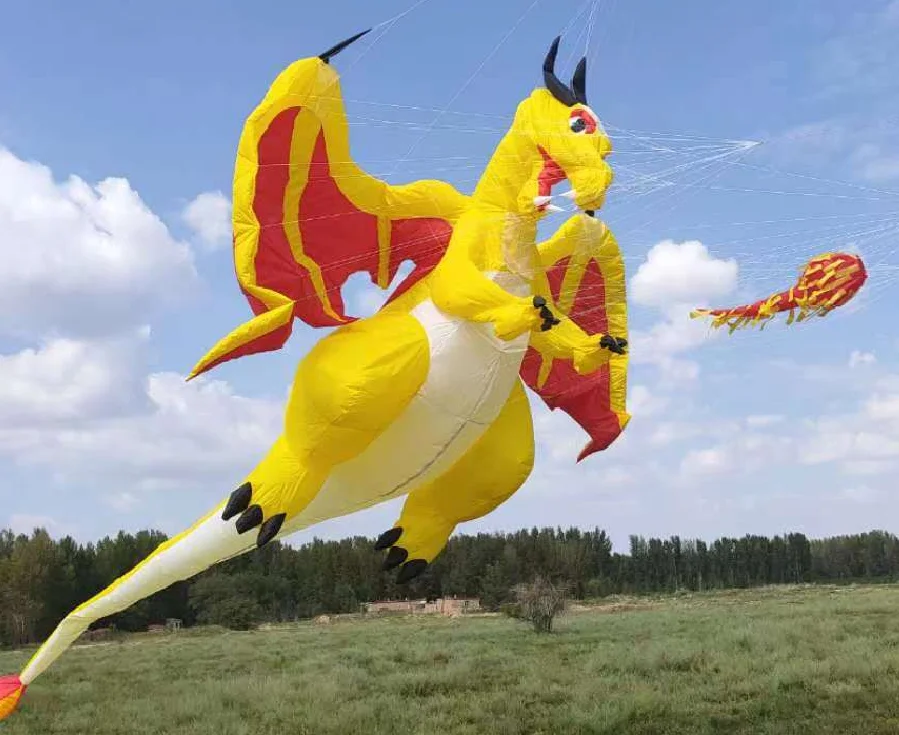 10m-Pterosaur-kite-large-kites-inflatable-kite-Weather-vane-windsock ...