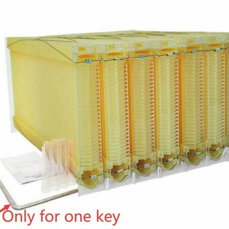 Stainless Steel Honey Key for Auto Raw Frames Honey Beekeeping Beehive ...