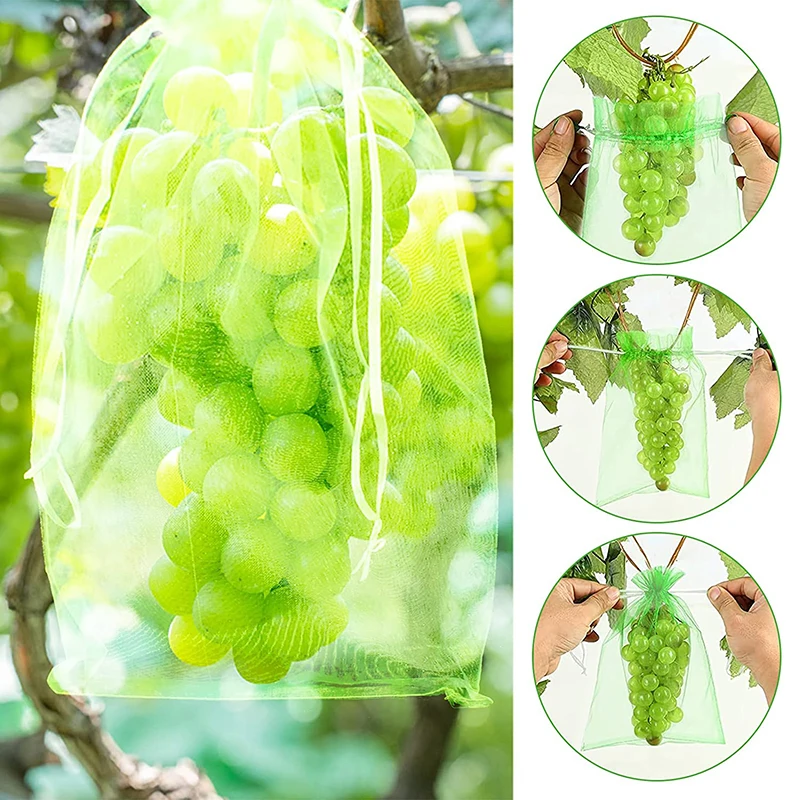 Strawberry Grapes Fruit Protection Bags Garden Plant Barrier Netting ...