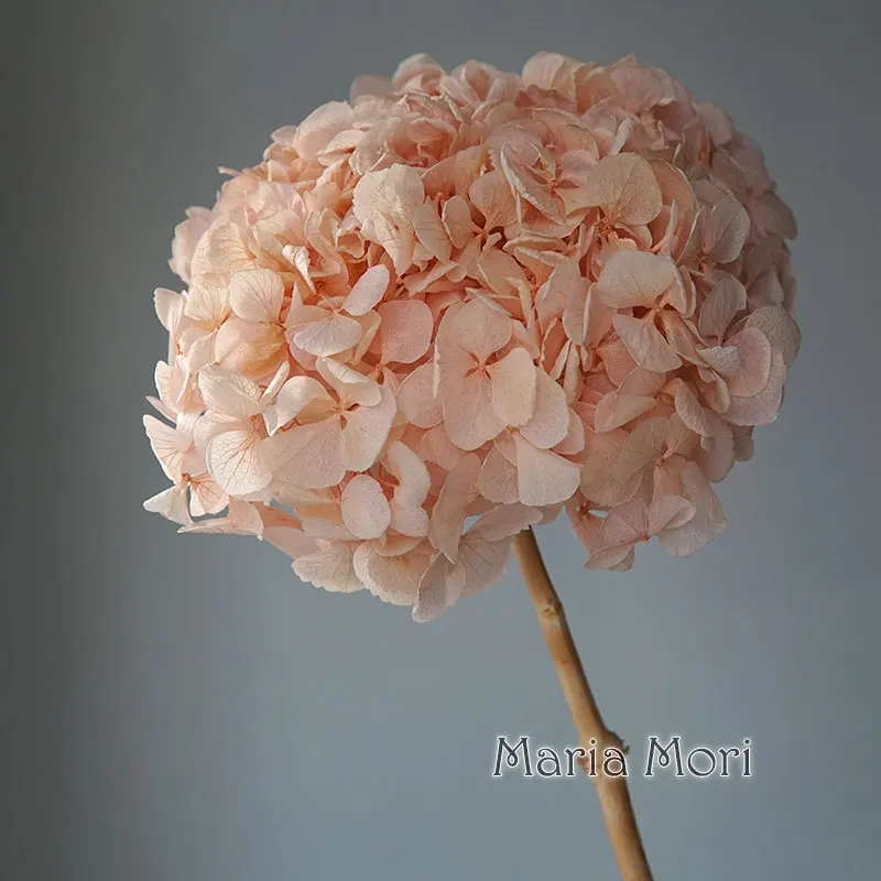 Peach Hydrangea Bouquet