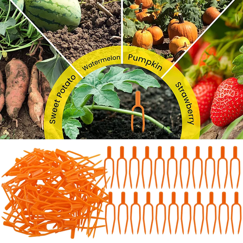 50pcs-Strawberry-Planting-Fork-Dig-Fork-55mm-Stolon-Fixator-Vine ...