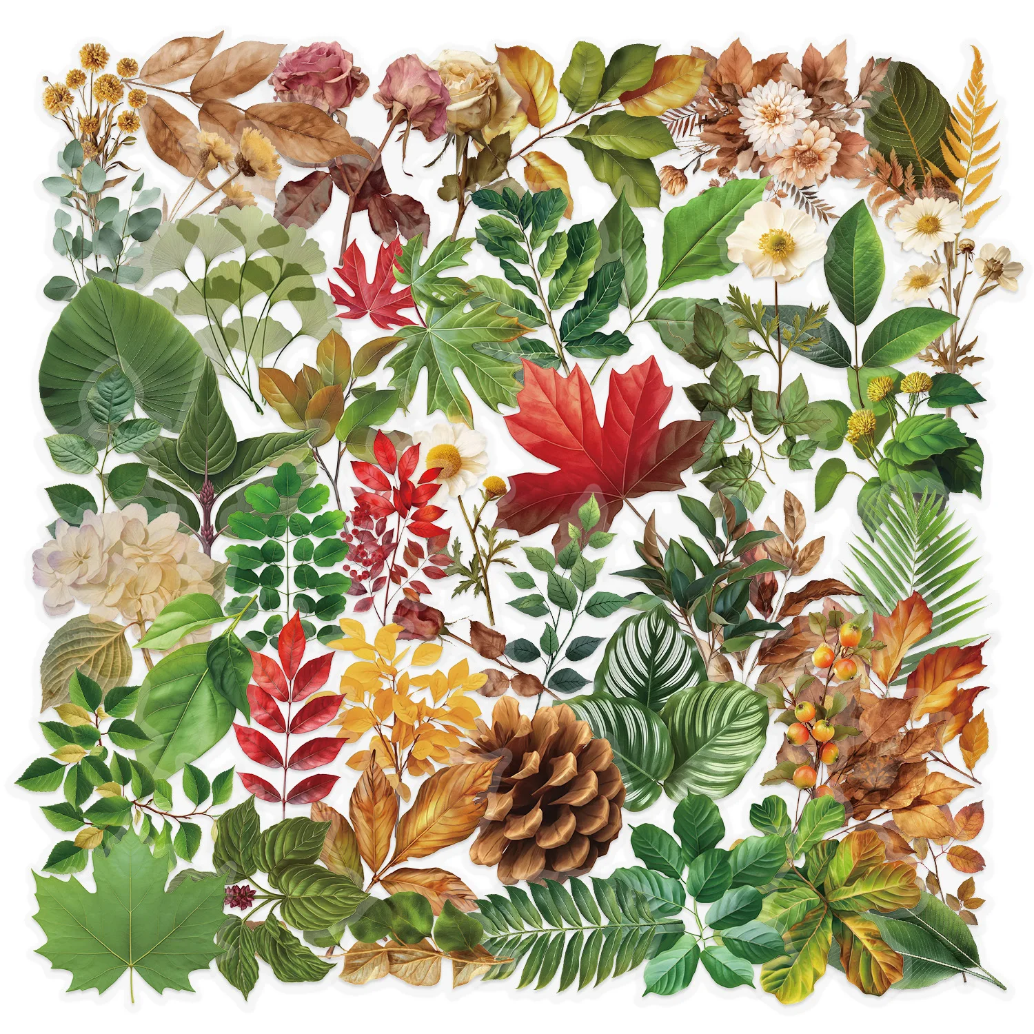 50 Pcs Transparent Cartoon Green Plant Sticker Packs, Waterproof ...