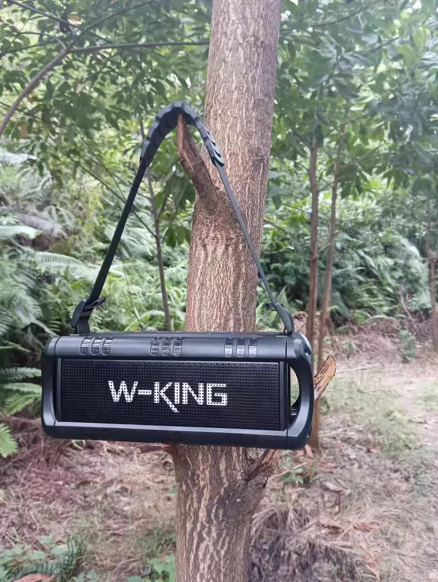 W king D8mini Bluetooth NFC Speakers Outdoor Portable High Sound Quality Big Volume Camping ...