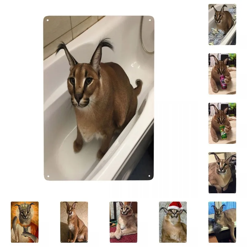 Big Floppa In A Bathtub Signs Custom Retro Metal Plaques for Office ...