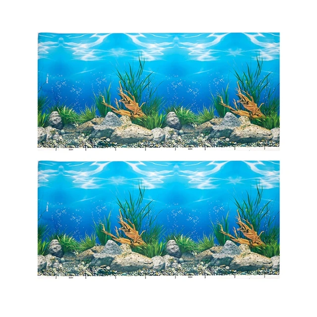 Aquarium Background Paper