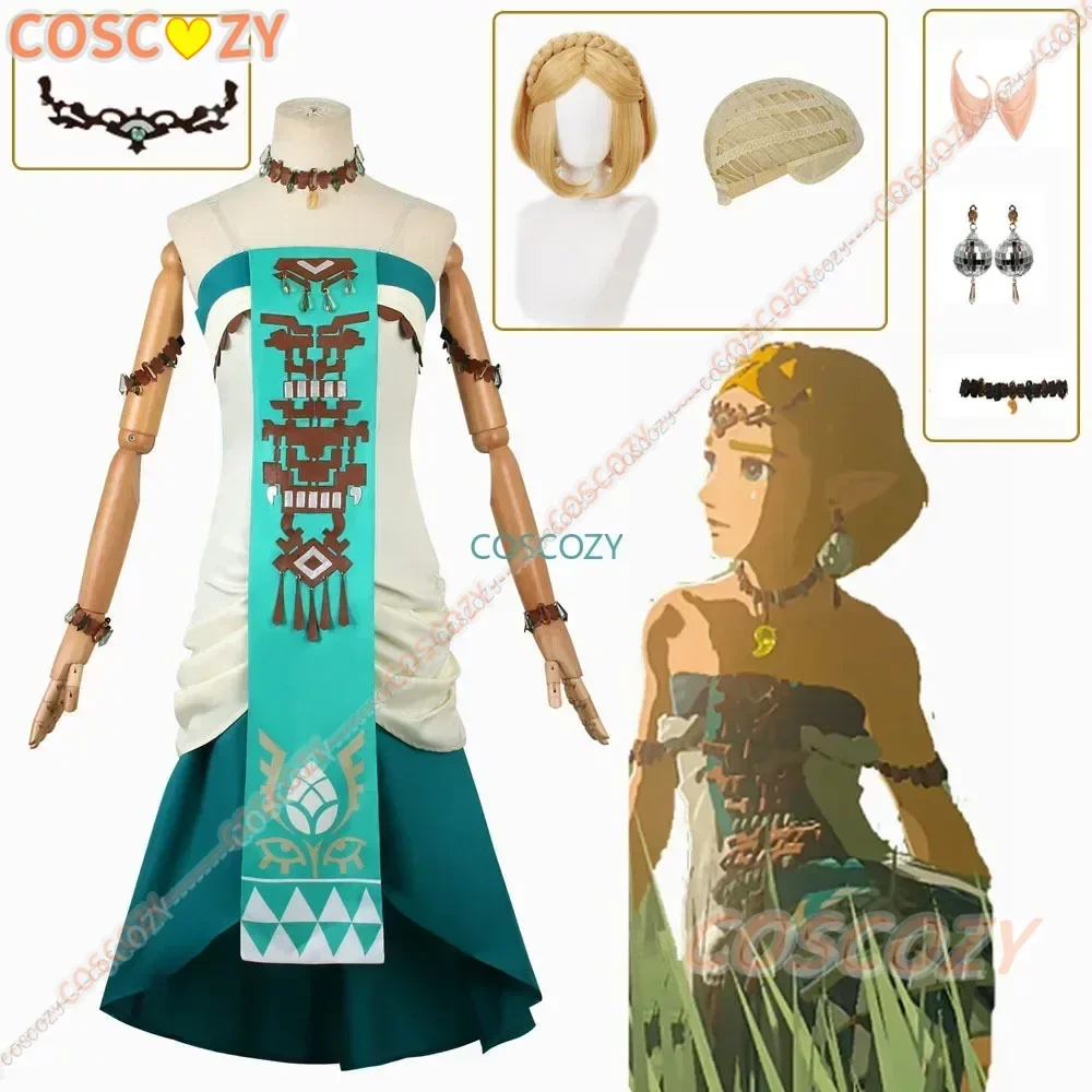 New Princess Cosplay Costume Dress Cosplay Princess Long Dress Wig and ...