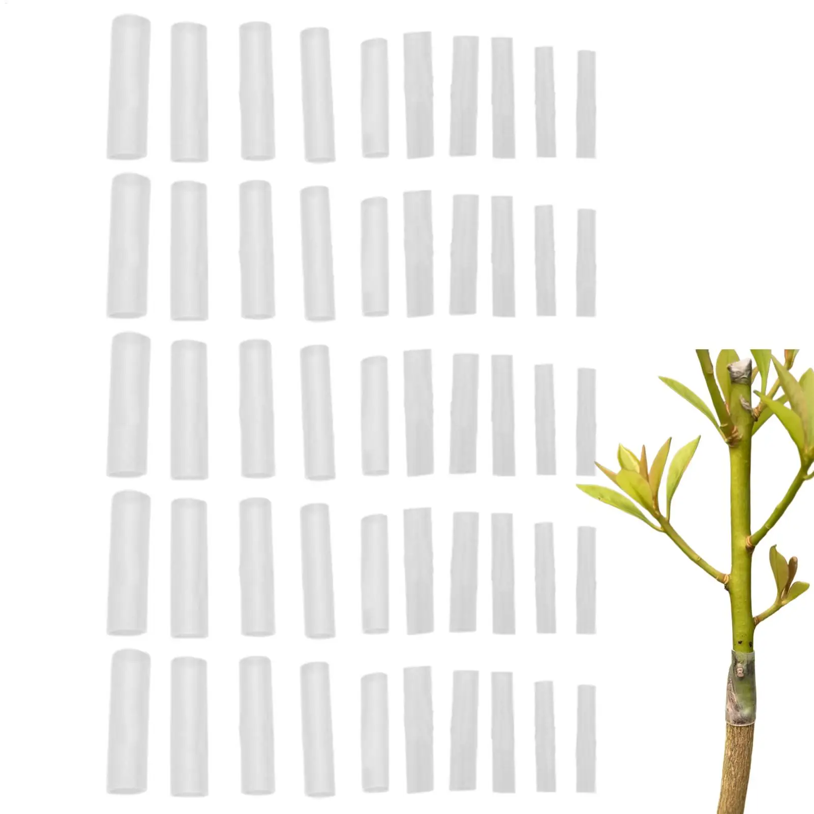3-7.5mm 50pcs Silicone Grafting Sleeves For Fruit Trees Silicone Shield ...