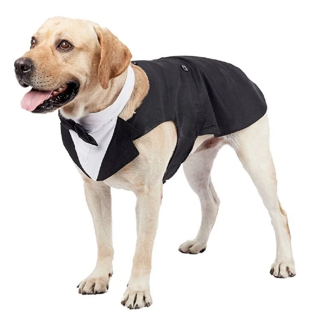 Camisa-Negra-Formal-para-perros-medianos-y-grandes-traje-de-moda-para ...