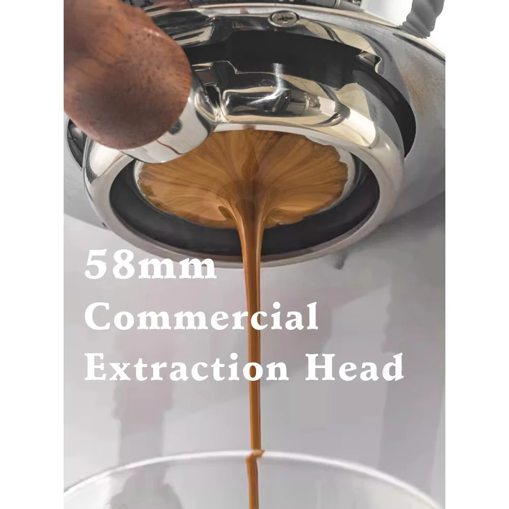 HomeWise M2 Semi-automatic Coffee Machine Double Pumps Double boilers ...