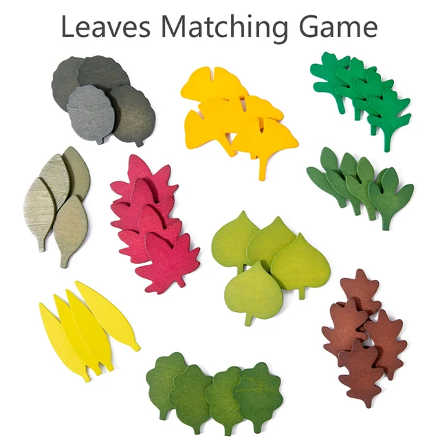 Shapes Of Leaves Montessori